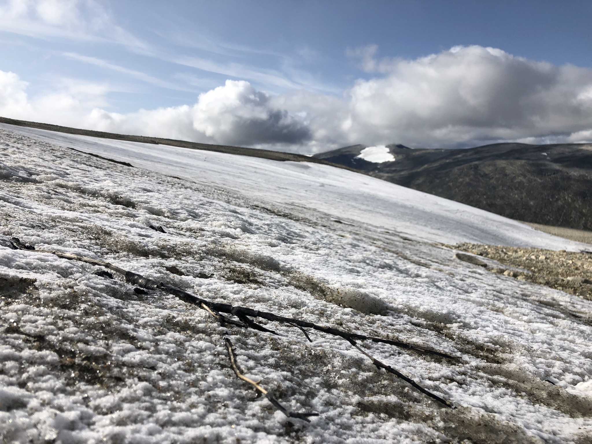 Melting ice in a Norwegian alpine pass reveals a 1,500-year-old shoe ...