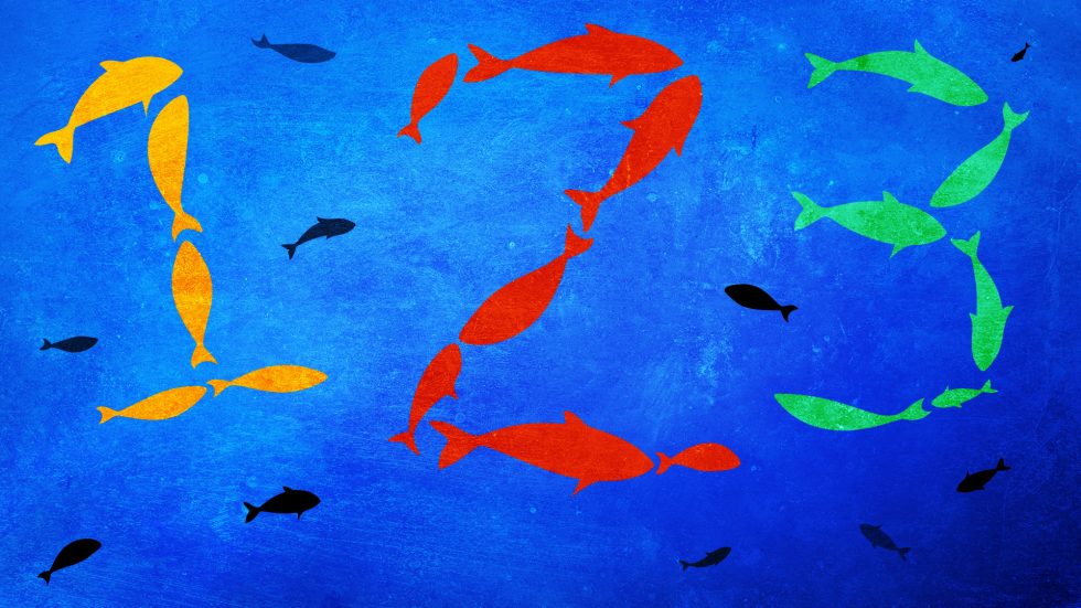 What the simple mathematical abilities of animals can tell us about ...