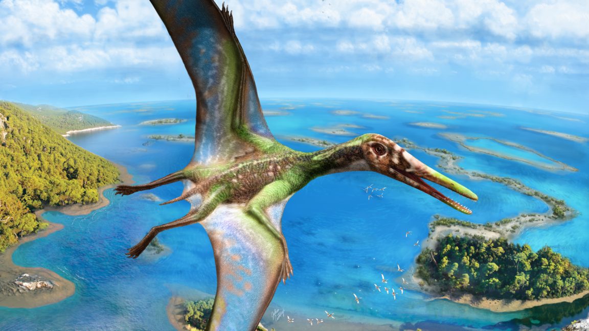 Physics meets paleontology: The hotly debated mechanics of pterosaur ...