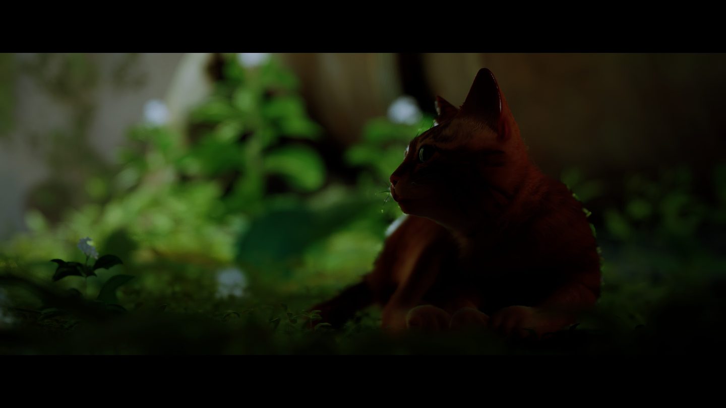 Game review: Stray redefines the adventure genre with a cat’s-eye view ...