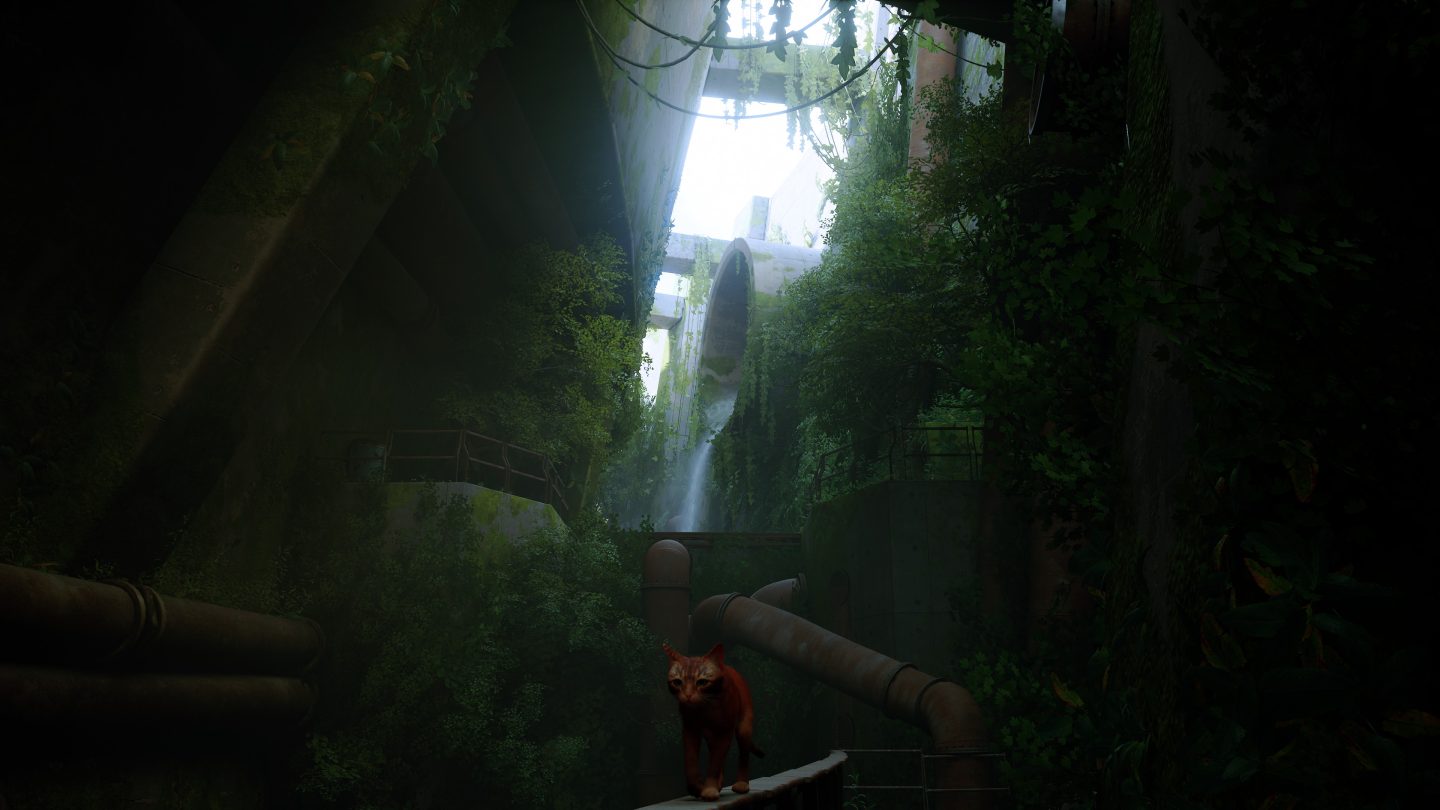 Game review: Stray redefines the adventure genre with a cat’s-eye view ...