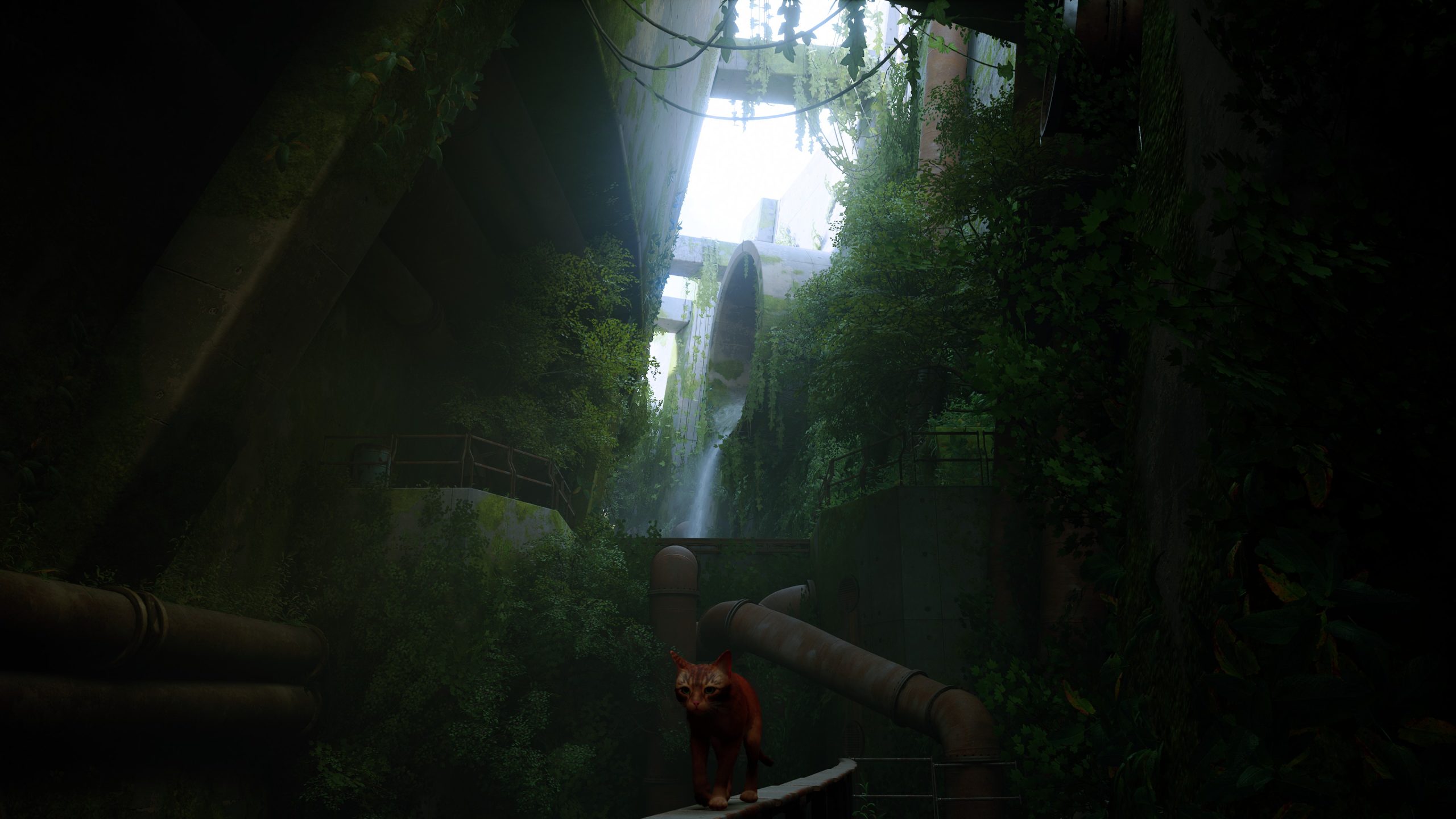 Game review: Stray redefines the adventure genre with a cat’s-eye view ...