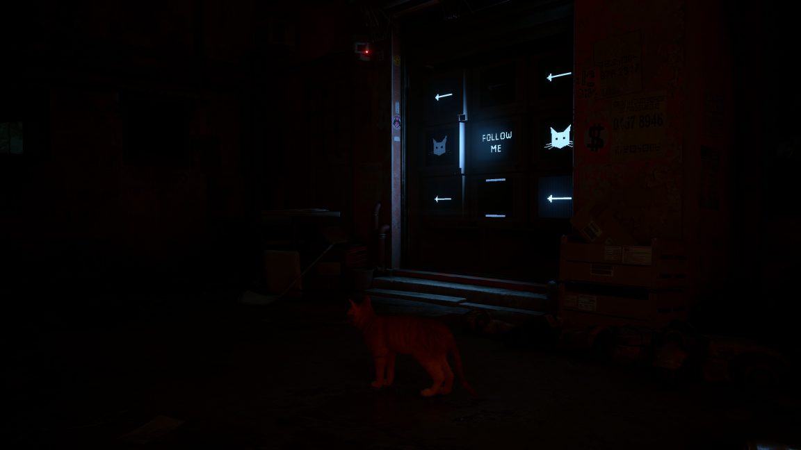 Game review: Stray redefines the adventure genre with a cat’s-eye view ...