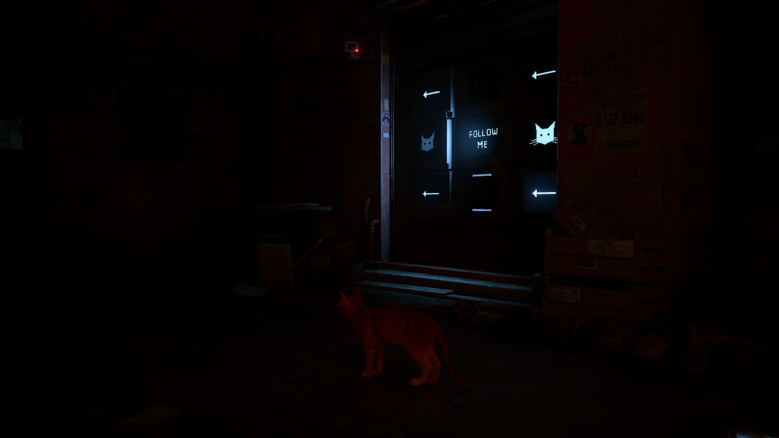 Game review: Stray redefines the adventure genre with a cat’s-eye view ...