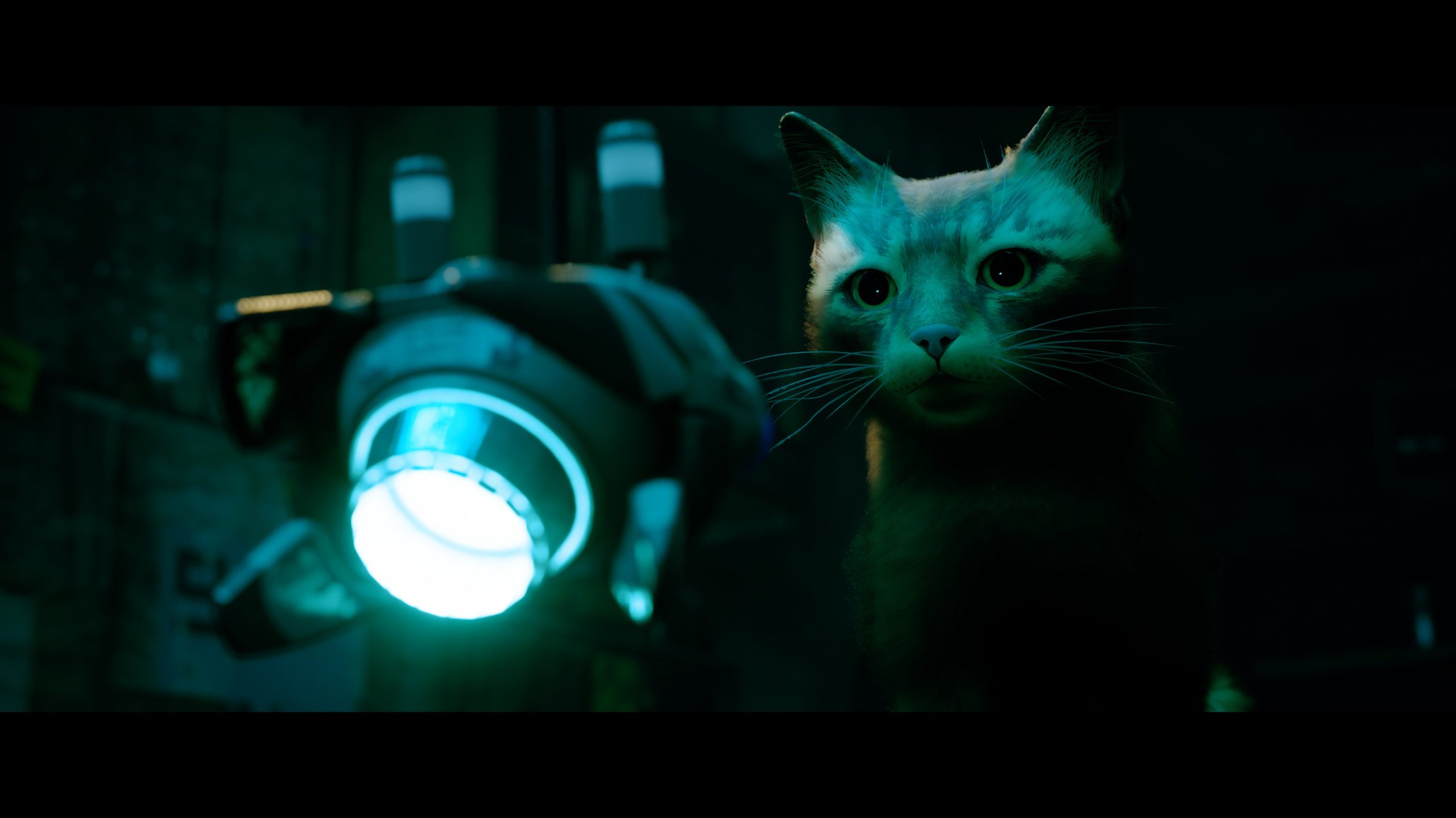 Game review: Stray redefines the adventure genre with a cat’s-eye view ...