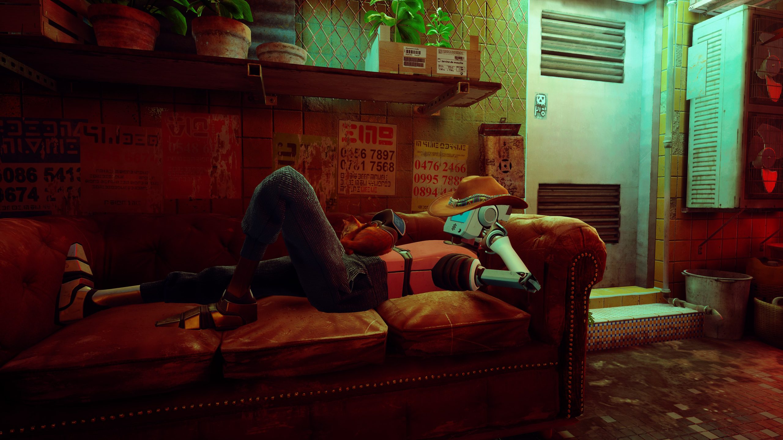 Game review: Stray redefines the adventure genre with a cat’s-eye view ...