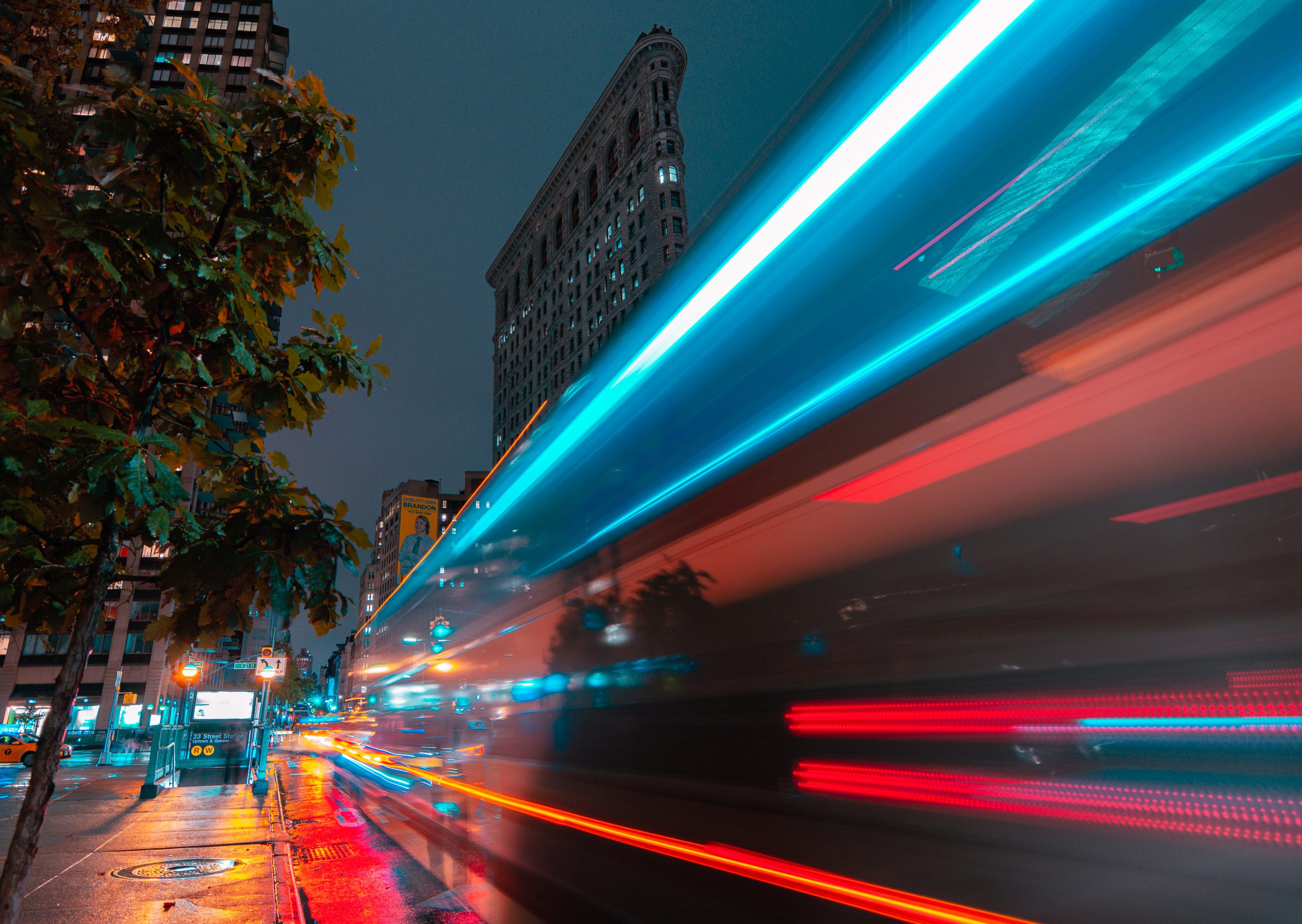 Light pollution is disrupting the seasonal rhythms of plants and trees ...