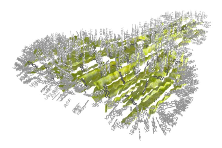 Scientists gain fresh insight into the secret of how gecko feet stay ...