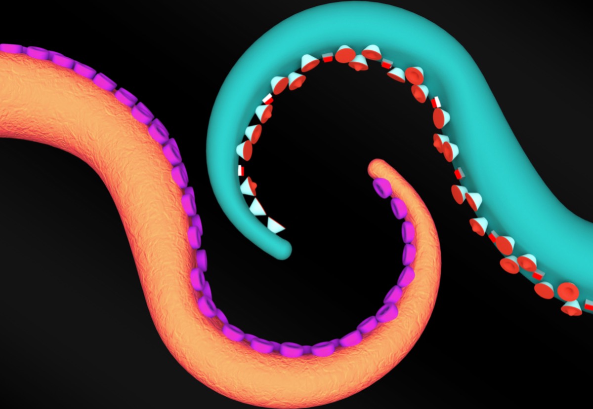 OctaGlove brings the underwater gripping power of the octopus to humans ...