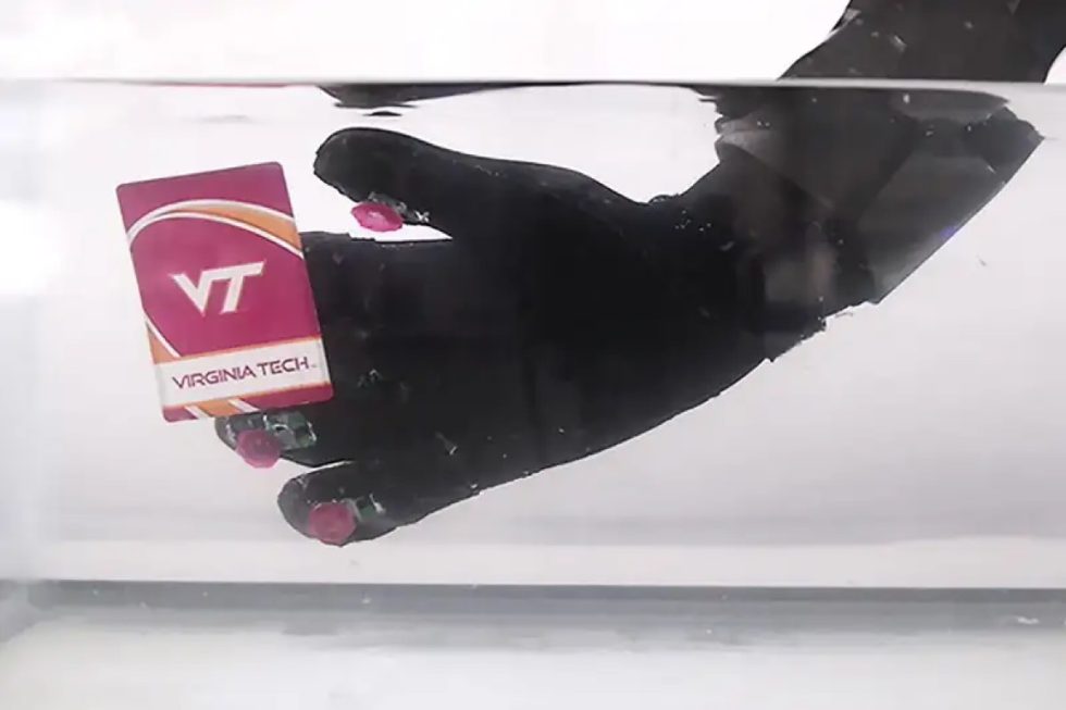 OctaGlove brings the underwater gripping power of the octopus to humans ...