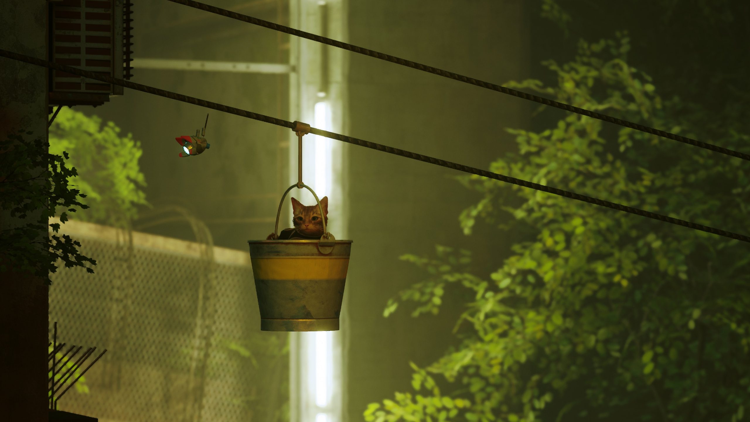 Game review: Stray redefines the adventure genre with a cat’s-eye view ...