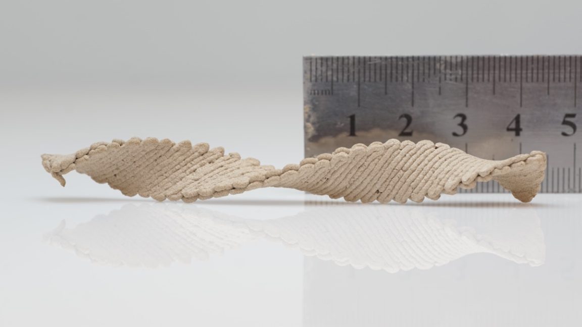 These self-morphing 3D wood shapes could be future of wood ...