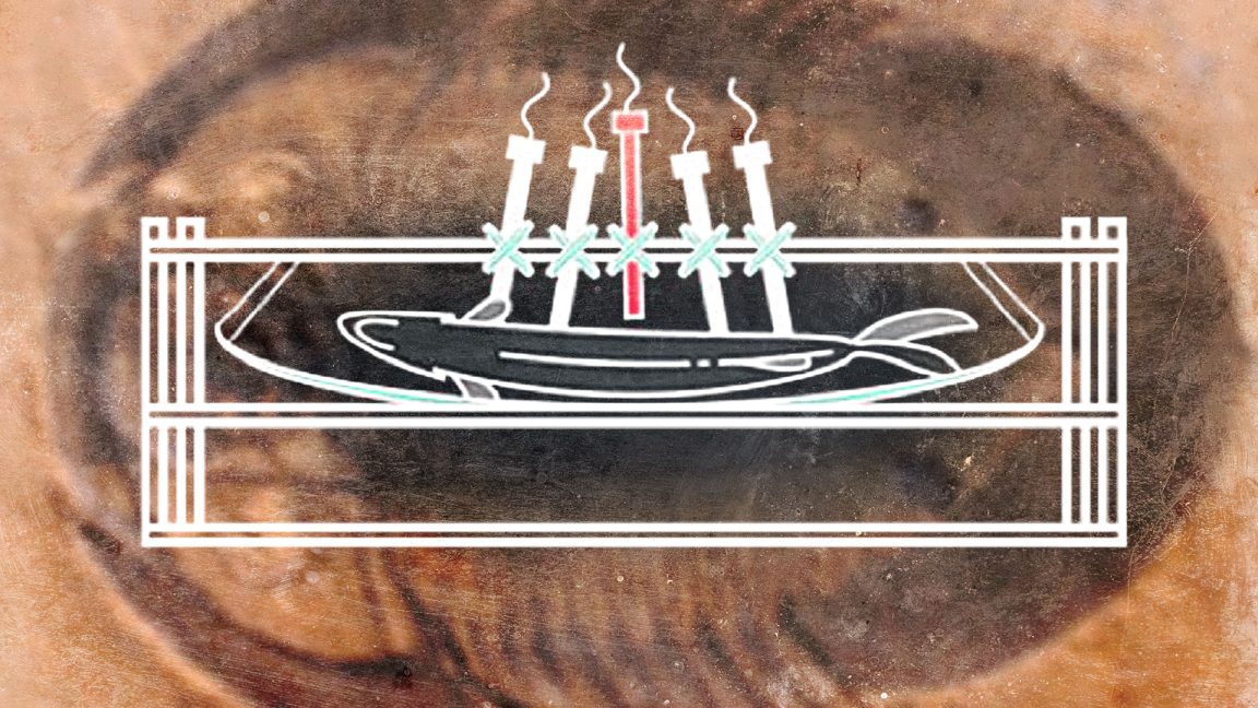 These researchers watched dead fish rot for 70 days—for science - Ars ...