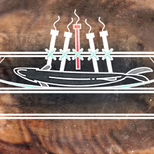 Tag: fish - Ars Technica