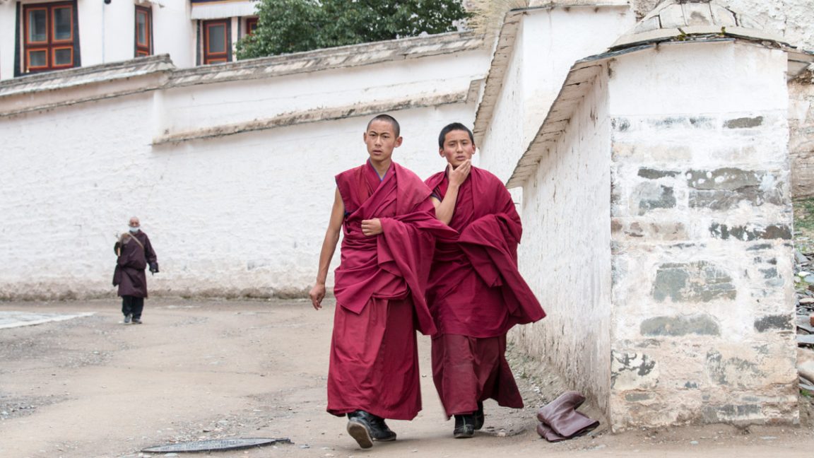 Celibacy has surprising evolutionary advantages, according to new ...