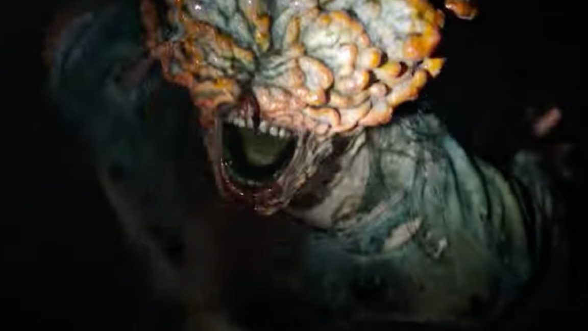 Meet the real zombifying fungus behind the fictional Last of Us ...
