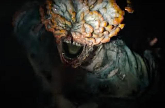Meet the real zombifying fungus behind the fictional Last of Us ...