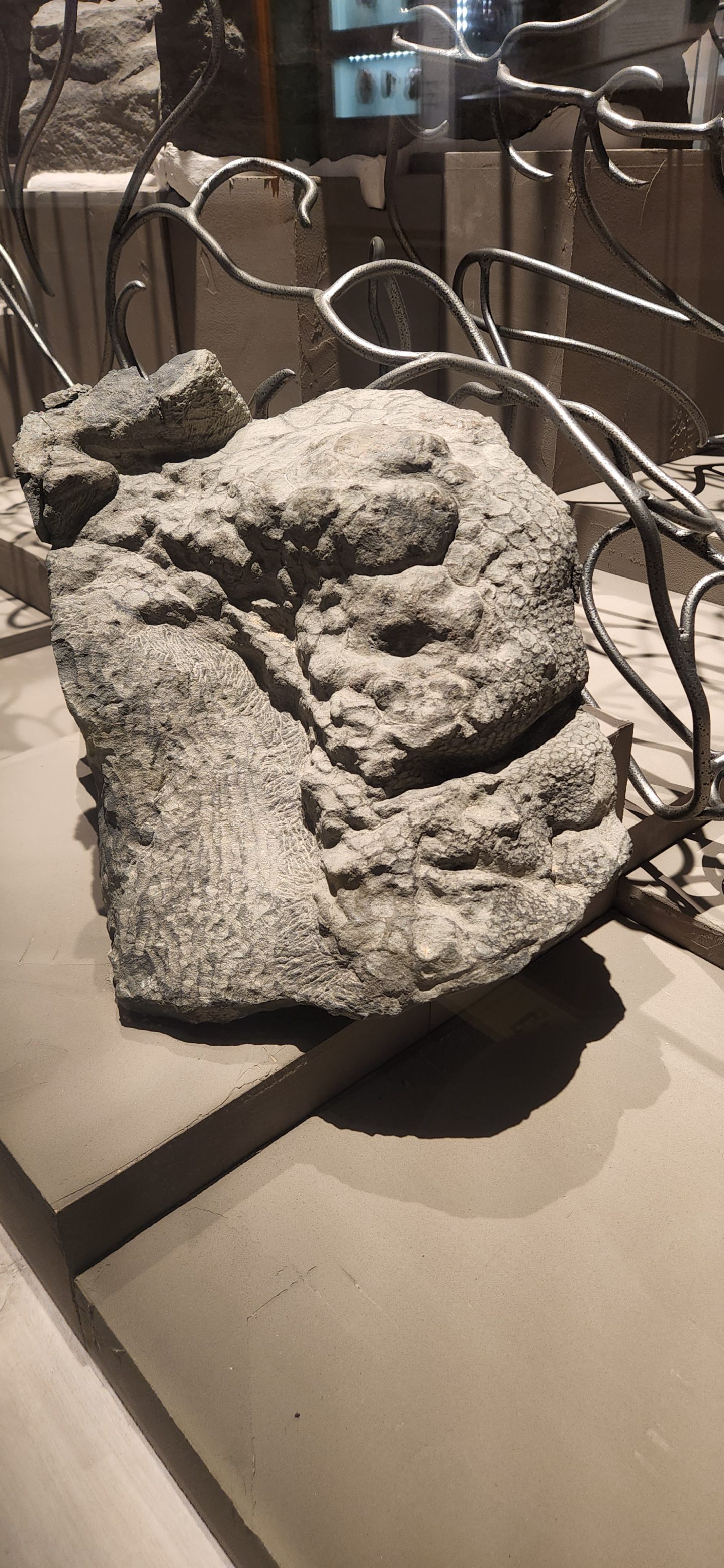 Researchers look a dinosaur in its remarkably preserved face - Ars Technica