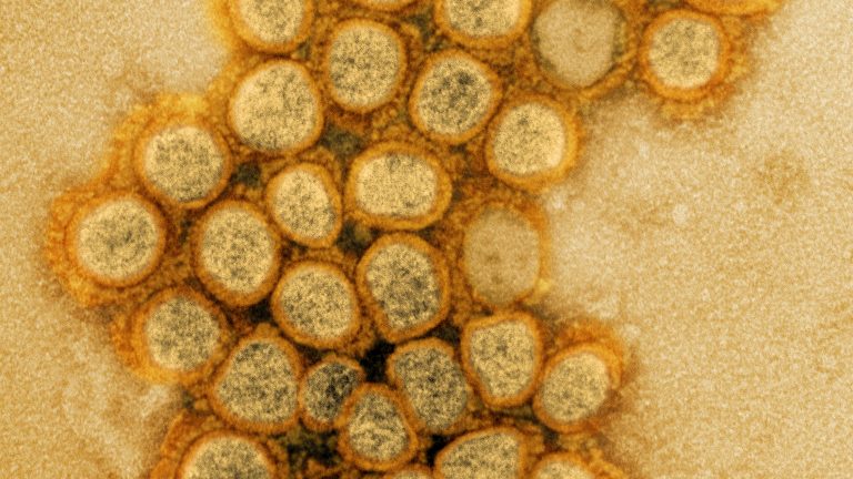 New COVID variant swiftly gains ground in US; concern looms for summer ...