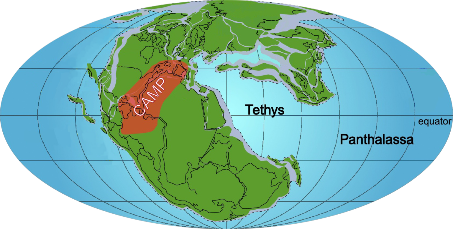 How the world of the end-Triassic extinction was similar to today—and ...