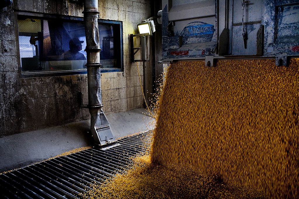 How green are biofuels? Scientists are at loggerheads - Ars Technica
