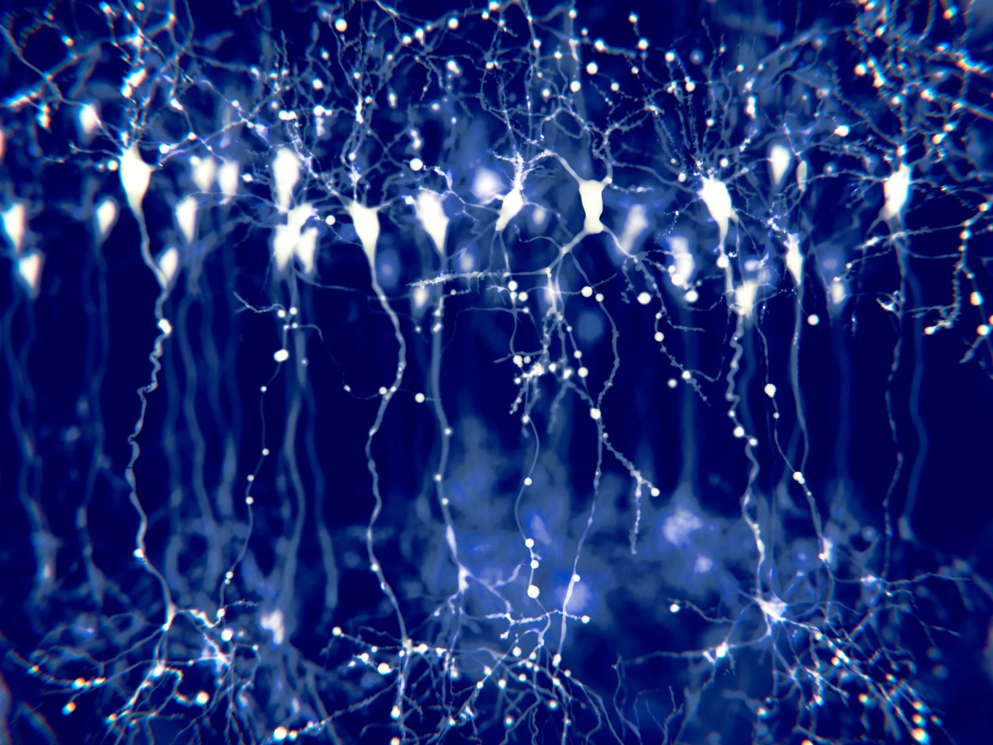 Huge new data set pushes limits of neuroscience - Ars Technica