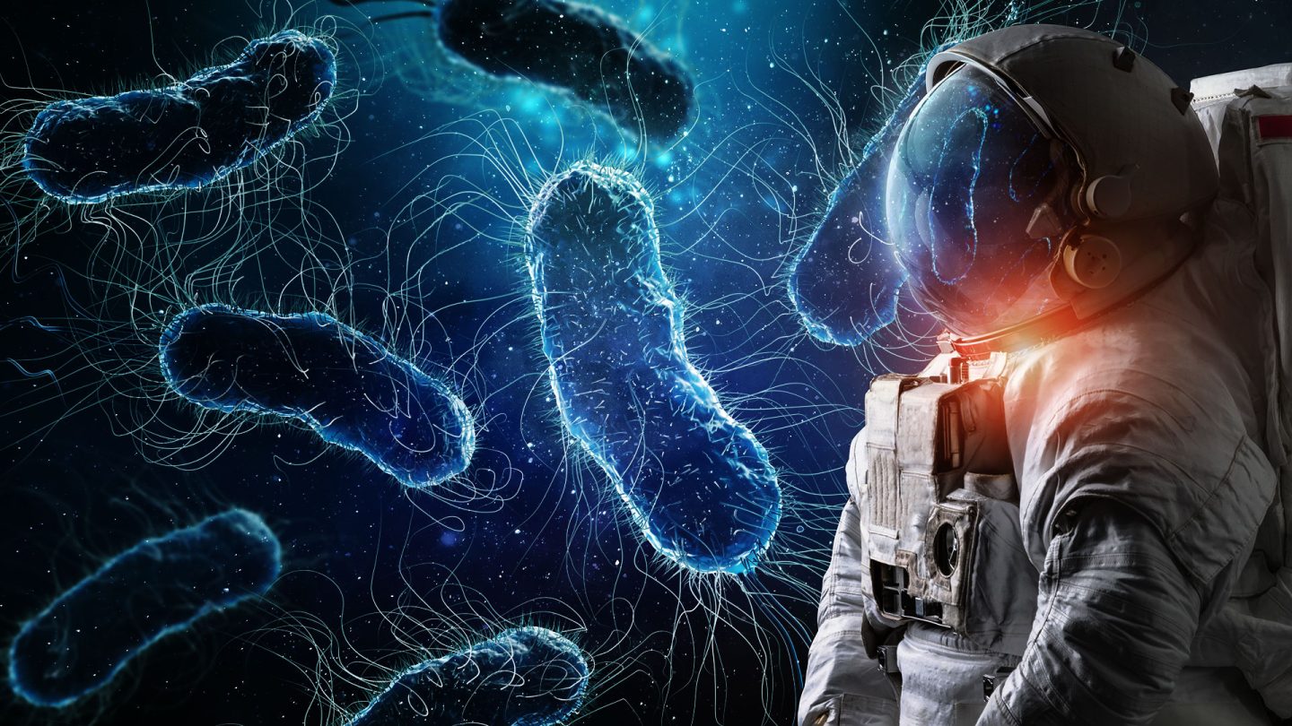 The mysteries of the astronaut biome - Ars Technica