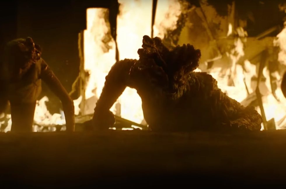 Meet the real zombifying fungus behind the fictional Last of Us ...