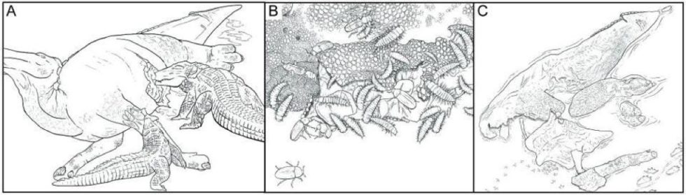 There’s more than one way to mummify a dinosaur, study finds - Ars Technica