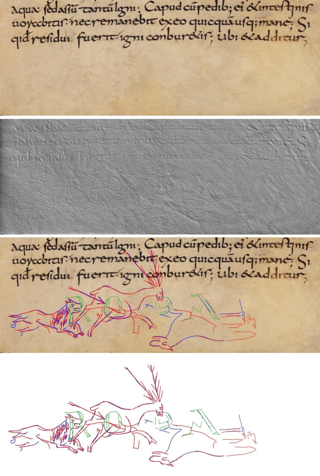 New imaging tool confirms female scribe etched her name in medieval ...