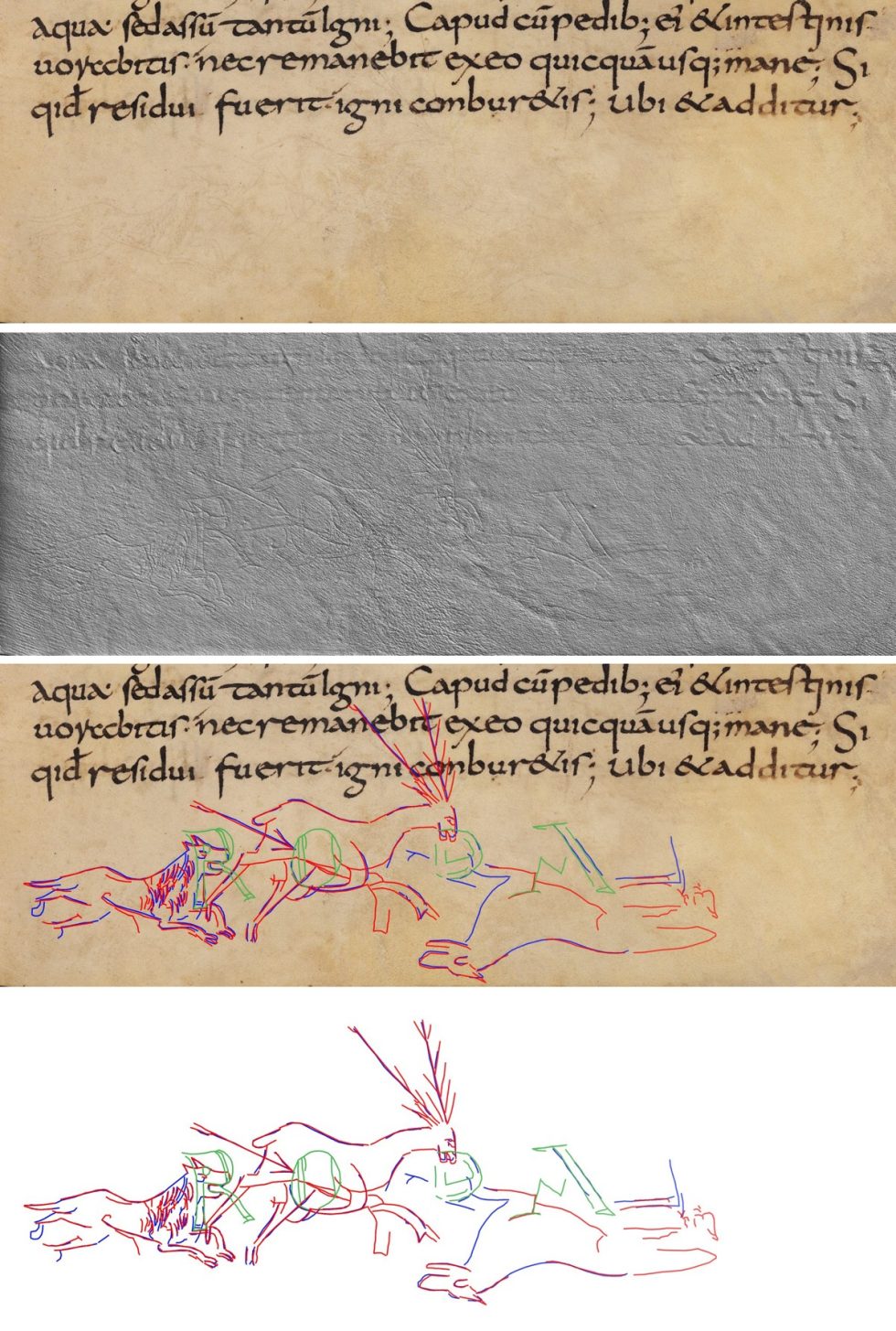 New imaging tool confirms female scribe etched her name in medieval ...