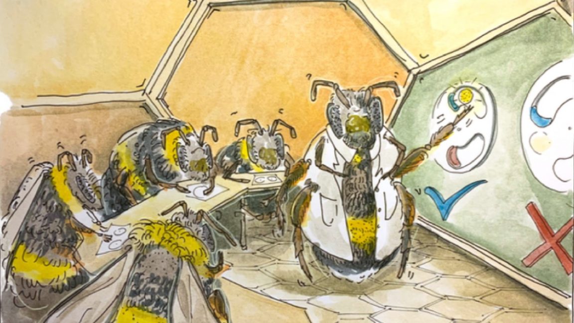 Bees learn to dance and to solve puzzles from their peers - Ars Technica