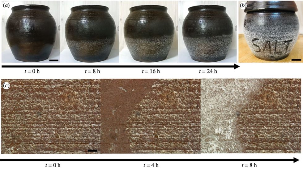 Science confirms it: The best kimchi is made in traditional clay jars ...