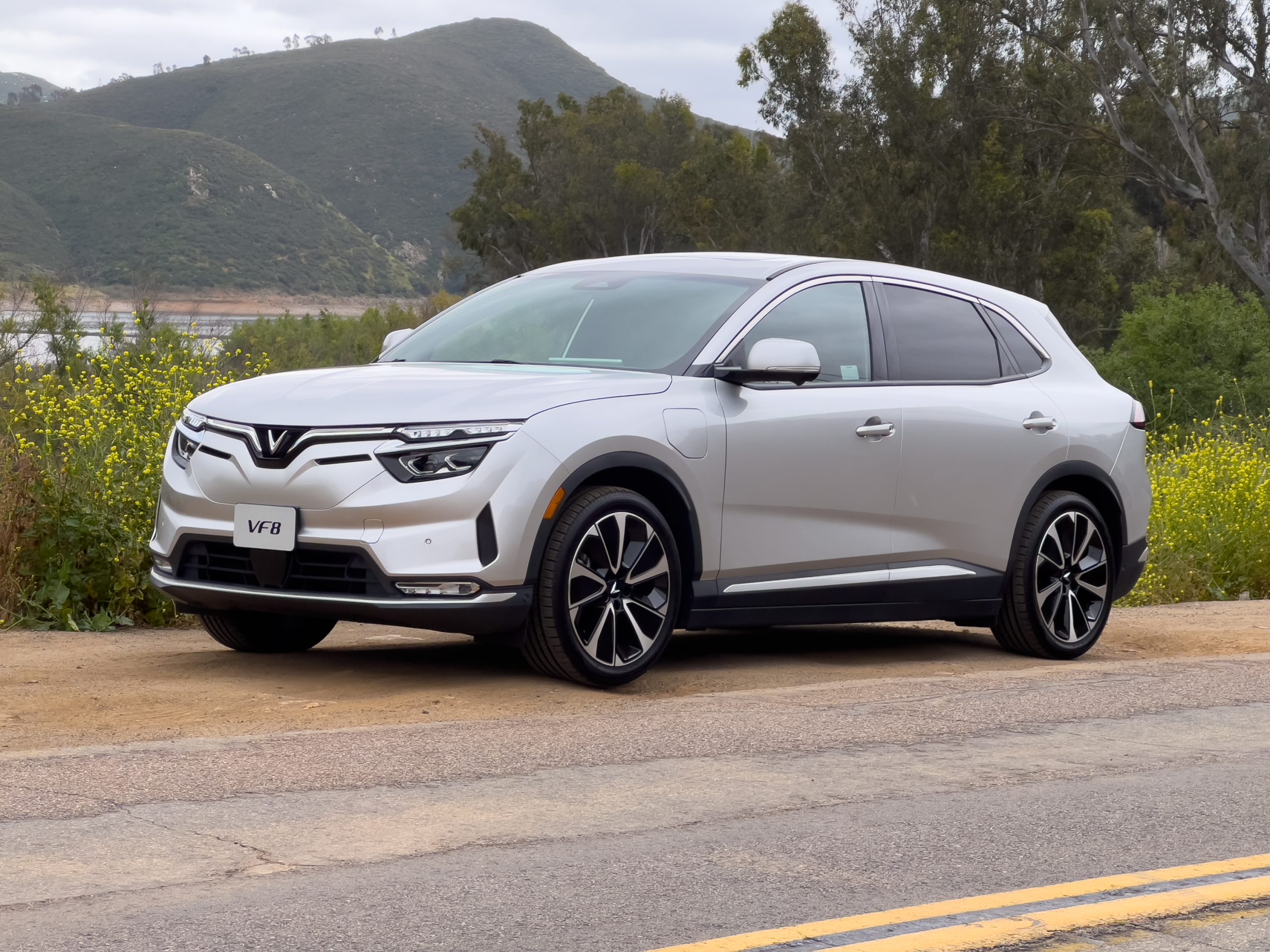 Vietnam’s first export EV, Vinfast VF8, makes shaky but promising US ...