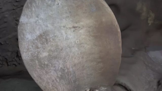 3D “digital twin” showcases wreck of Titanic in unprecedented detail ...
