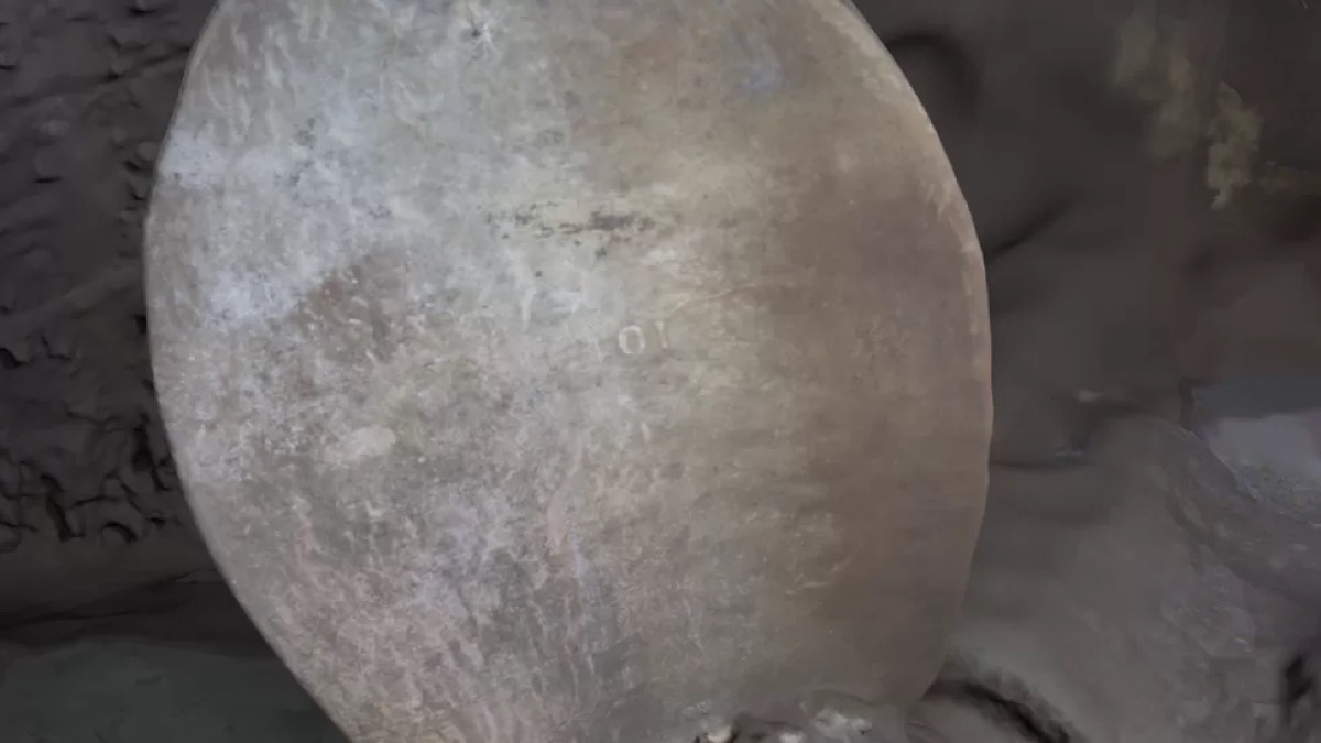 3D “digital twin” showcases wreck of Titanic in unprecedented detail ...