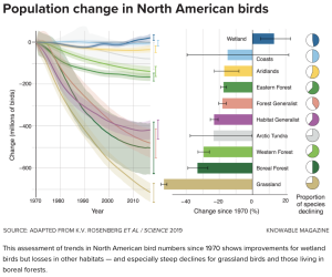 A shocking number of birds are in trouble - Ars Technica