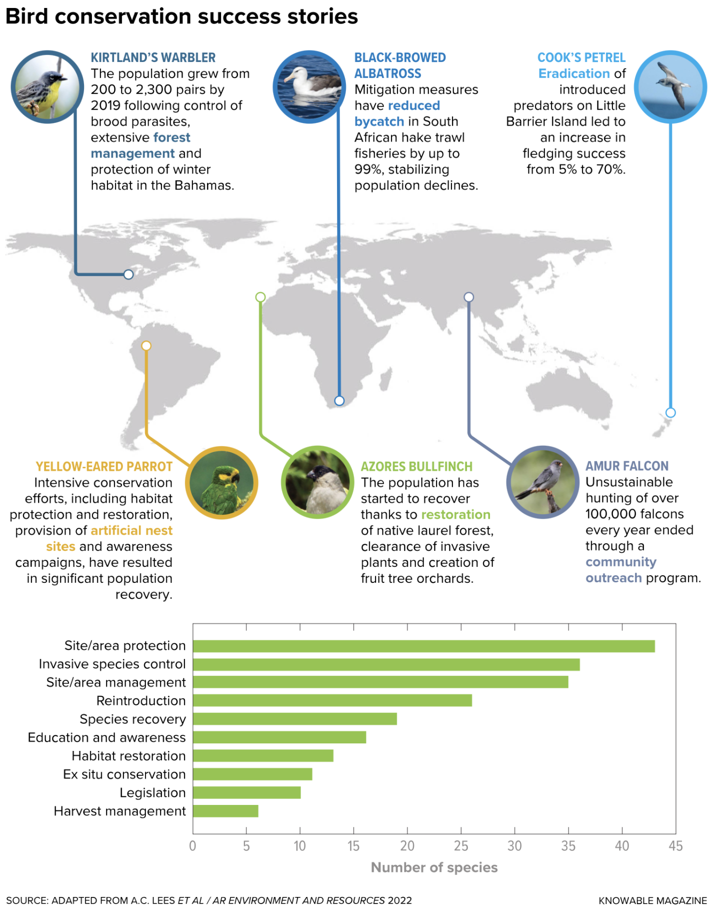 A shocking number of birds are in trouble - Ars Technica