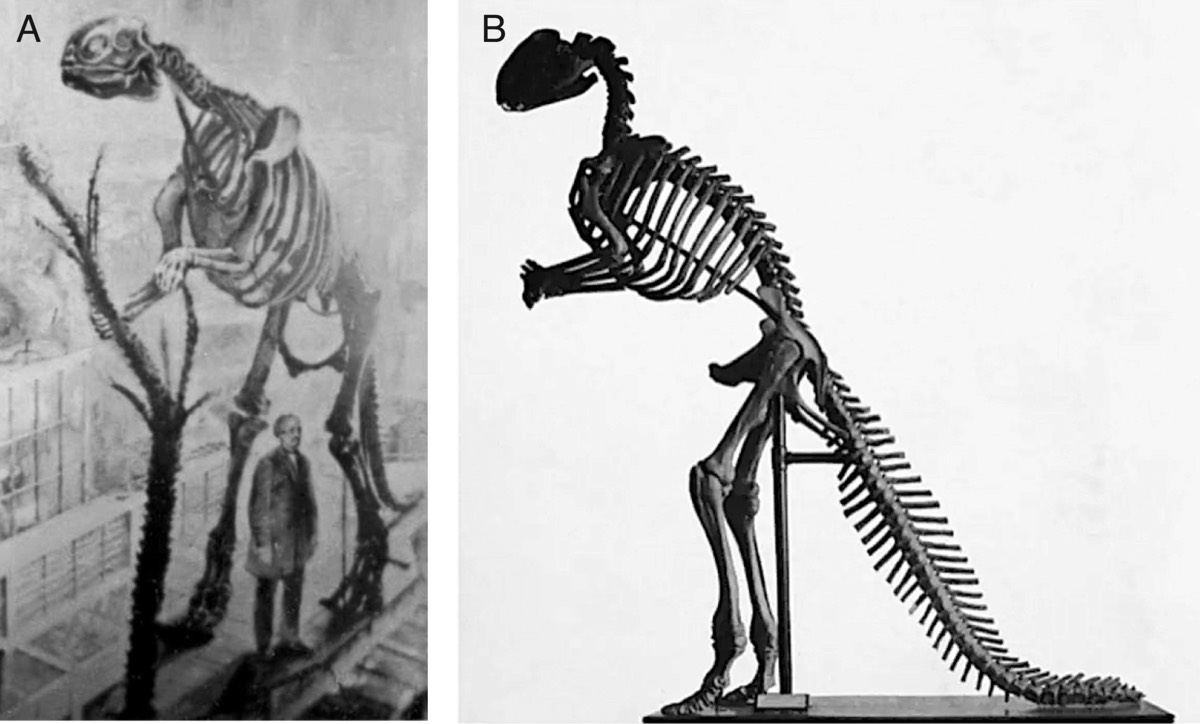 The real culprit behind the 1871 vandalism of the Paleozoic Museum in ...