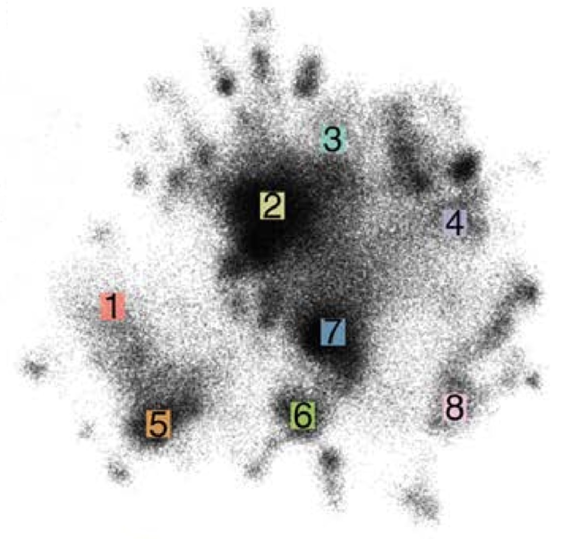 Cuttlefish camouflage gets complicated - Ars Technica