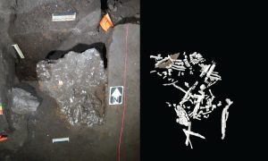 Homo naledi were burying their dead at least 100,000 years before ...