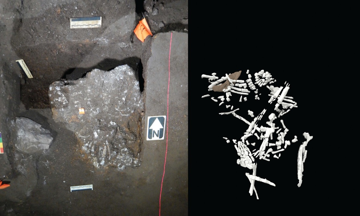 Homo naledi were burying their dead at least 100,000 years before ...