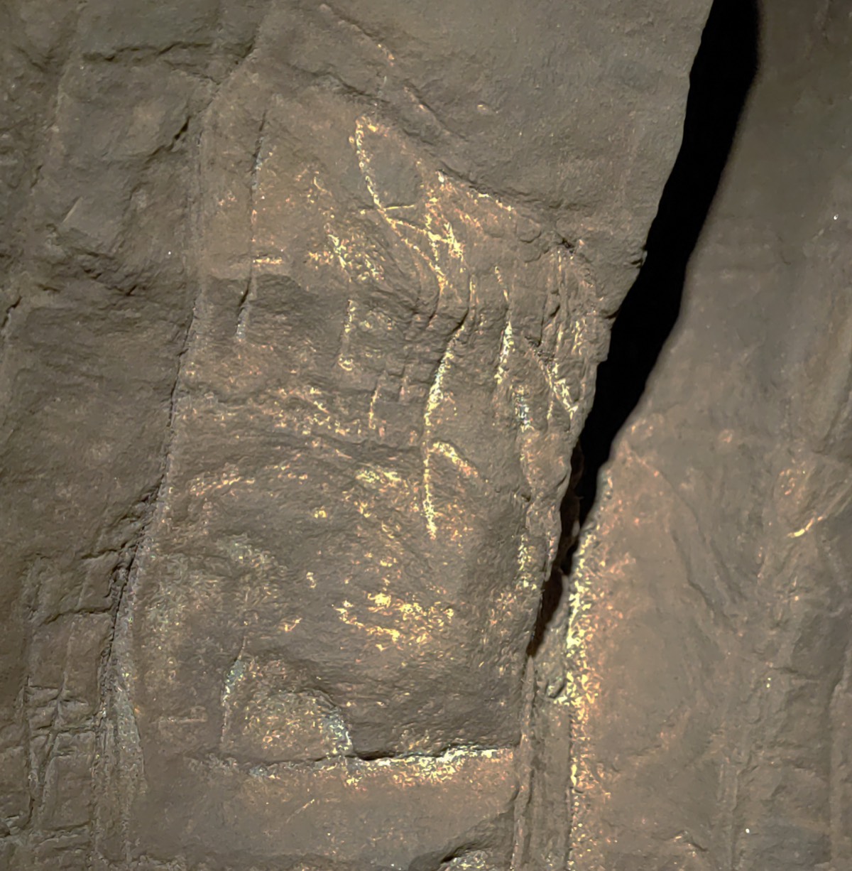 Homo naledi were burying their dead at least 100,000 years before ...