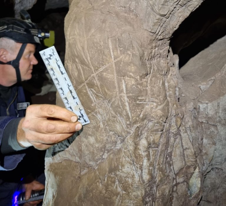 Homo naledi were burying their dead at least 100,000 years before ...