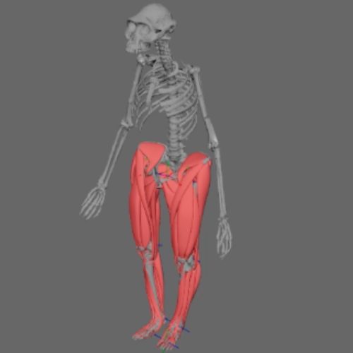 Tag: computational modeling - Ars Technica