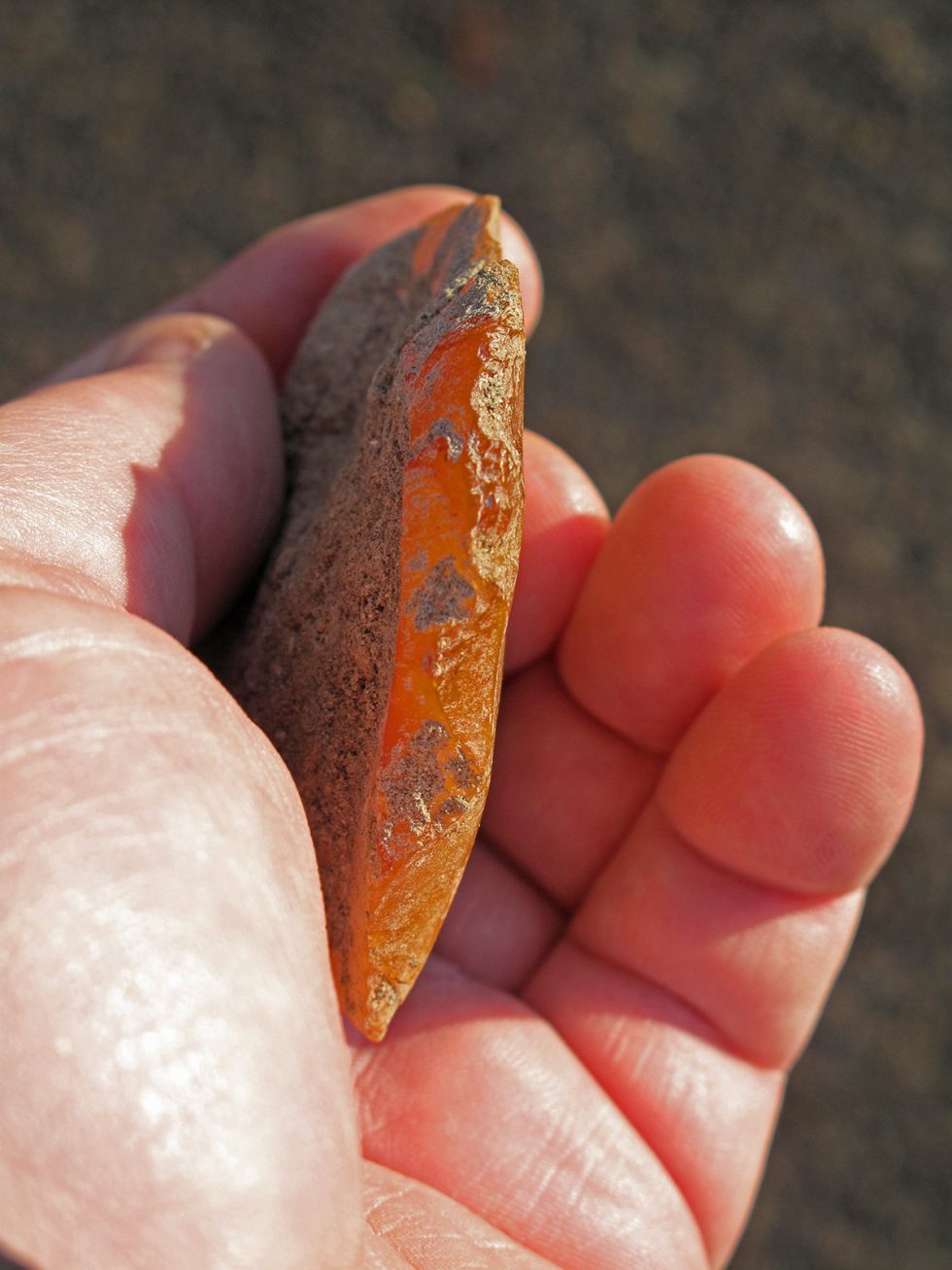 These are the oldest stone tools ever found in the United States - Ars ...