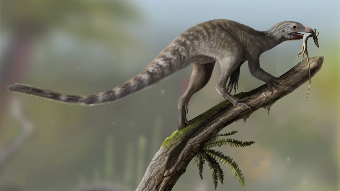 New Triassic fossil features sharp claws and a nasty beak - Ars Technica