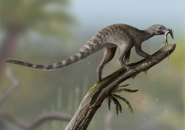 New Triassic fossil features sharp claws and a nasty beak - Ars Technica