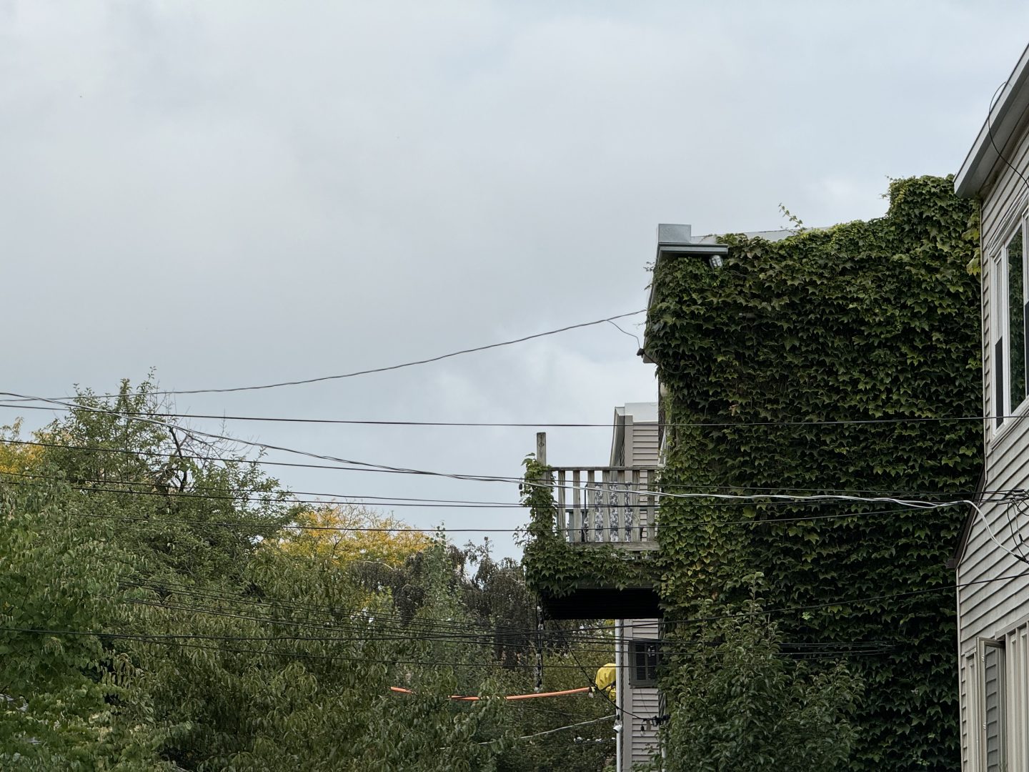 Guidemaster: A cheat sheet for comparing the iPhone 15 lineup’s cameras ...