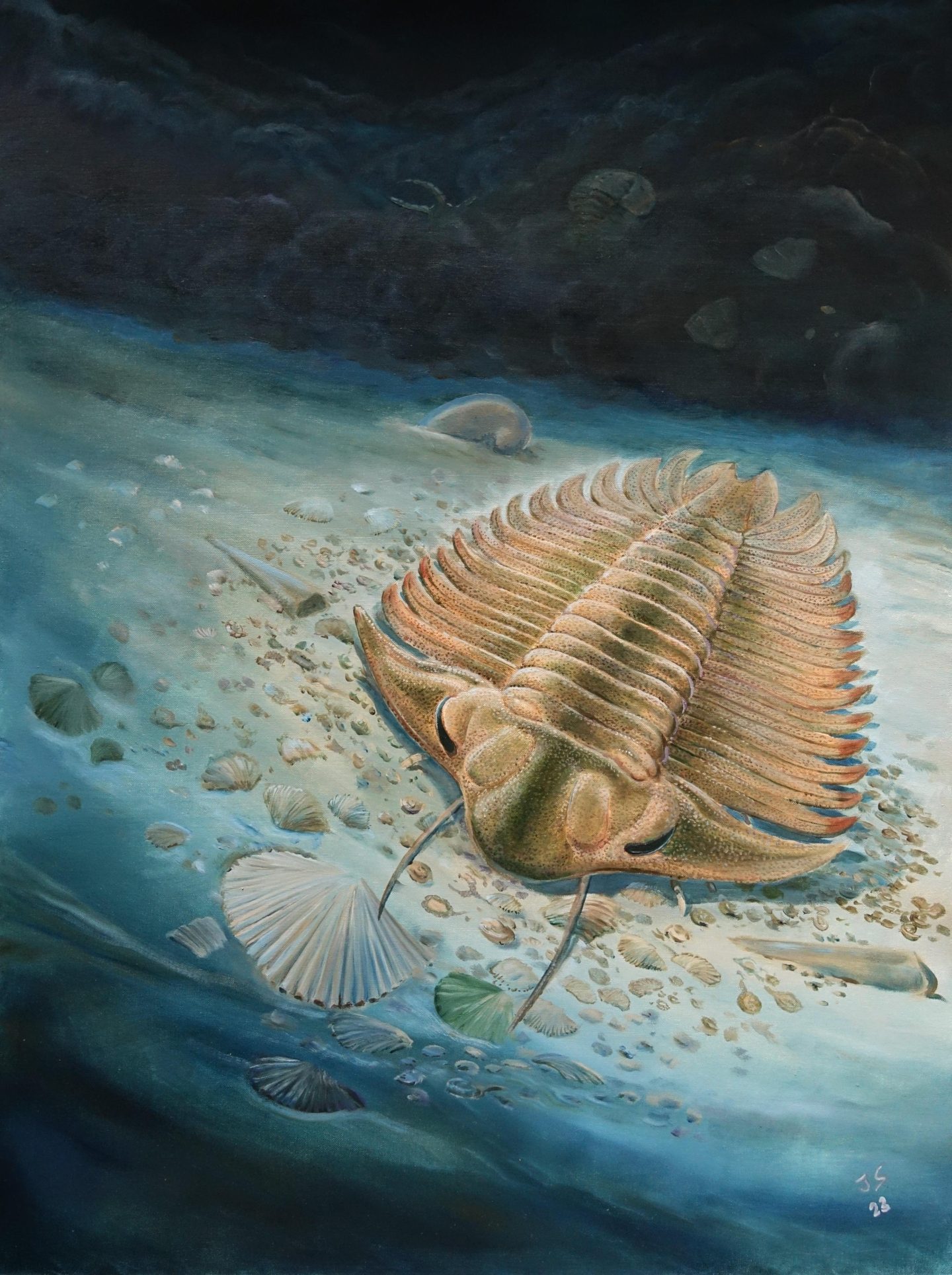 We finally know for sure what a trilobite ate - Ars Technica